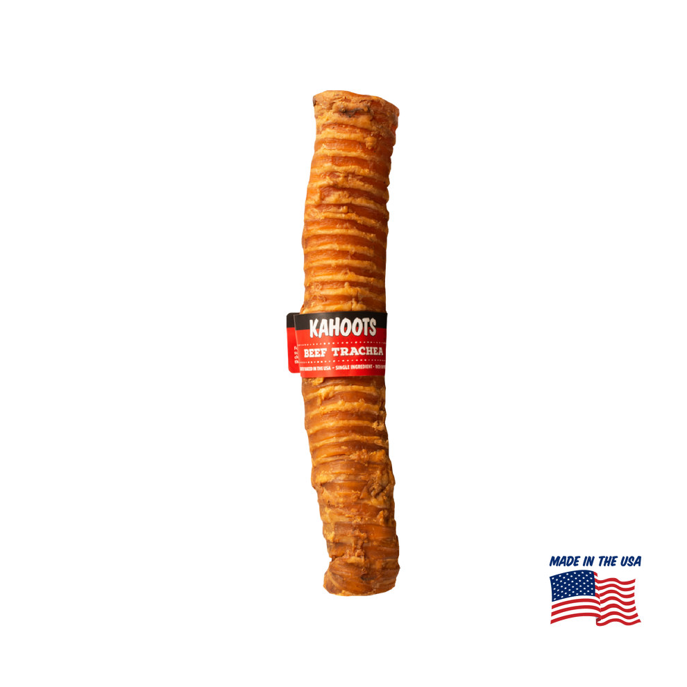 Beef Trachea 12" – Kahoots